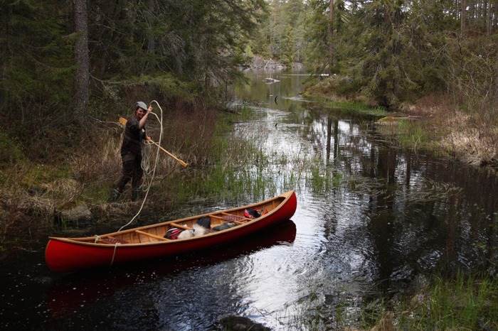 DIY: Towing line for canoe :: Traceless in Tiveden